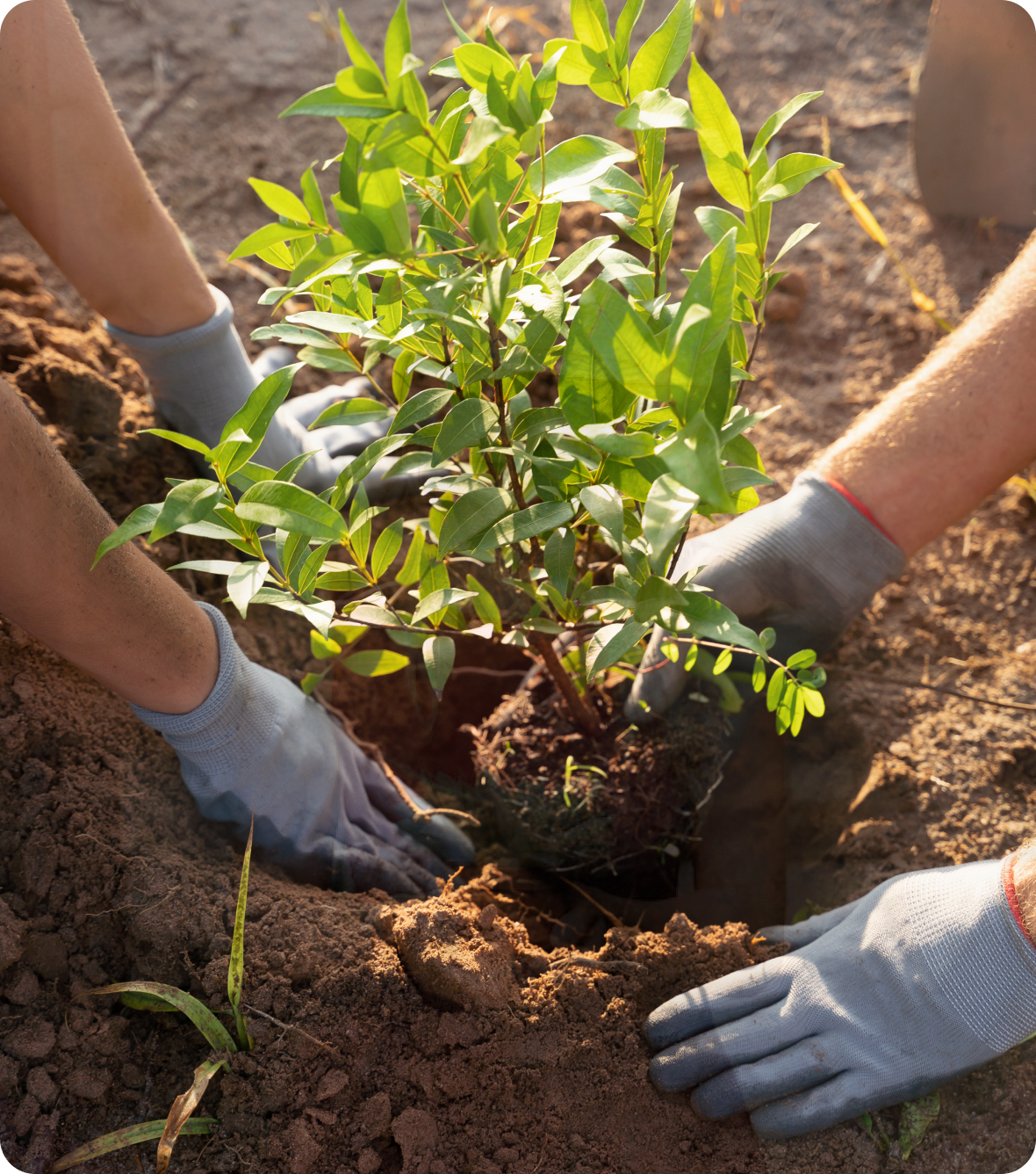 Growers Hub